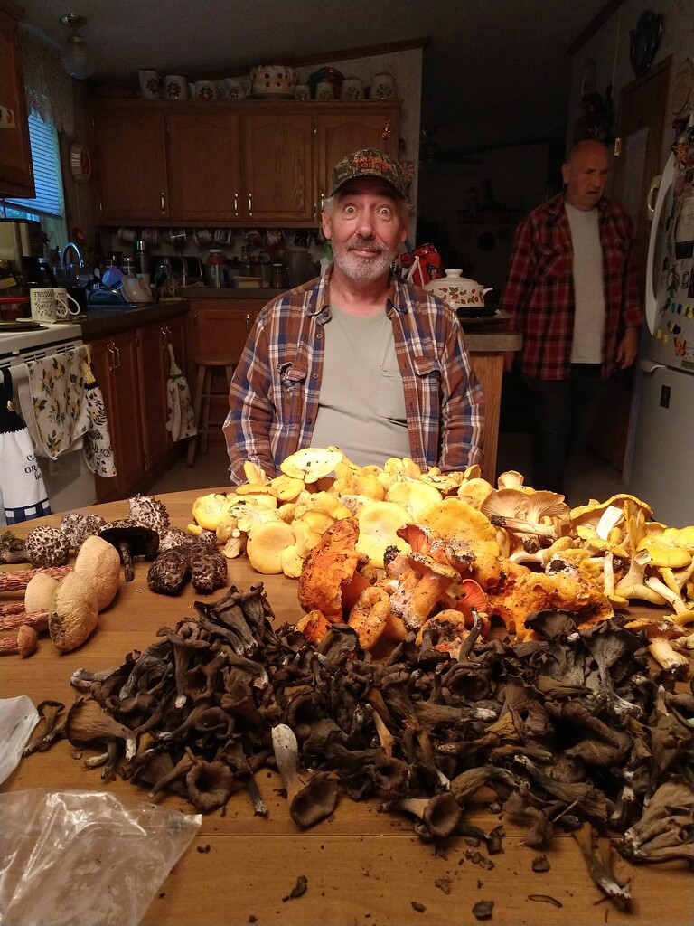 Mushroom season in Michigan! - The Den