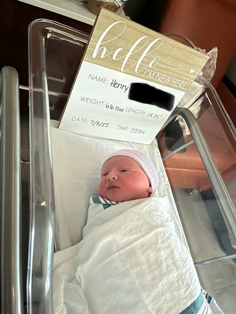 Newest Detroit sports fan - The Den