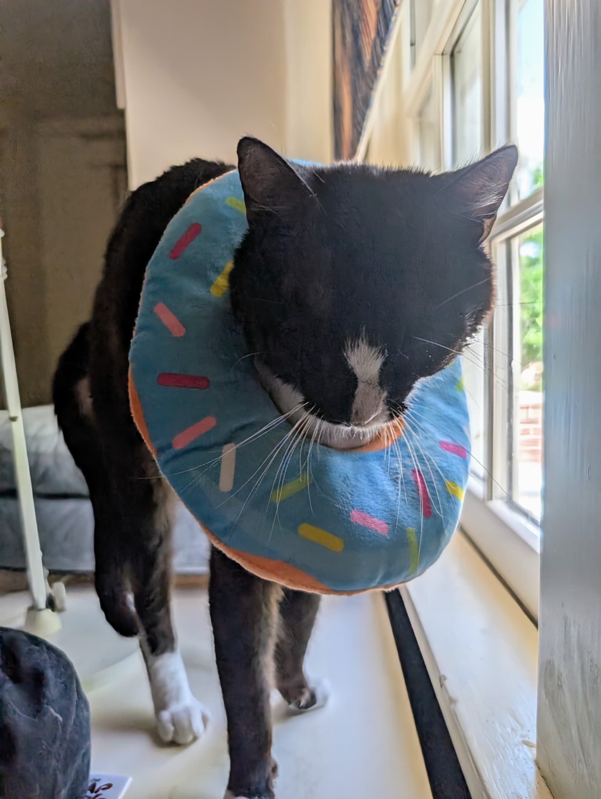 I love this man - The Den