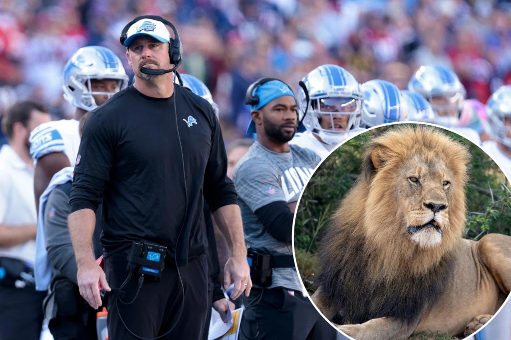 NFL Nixes Roary Upgrade - The Den