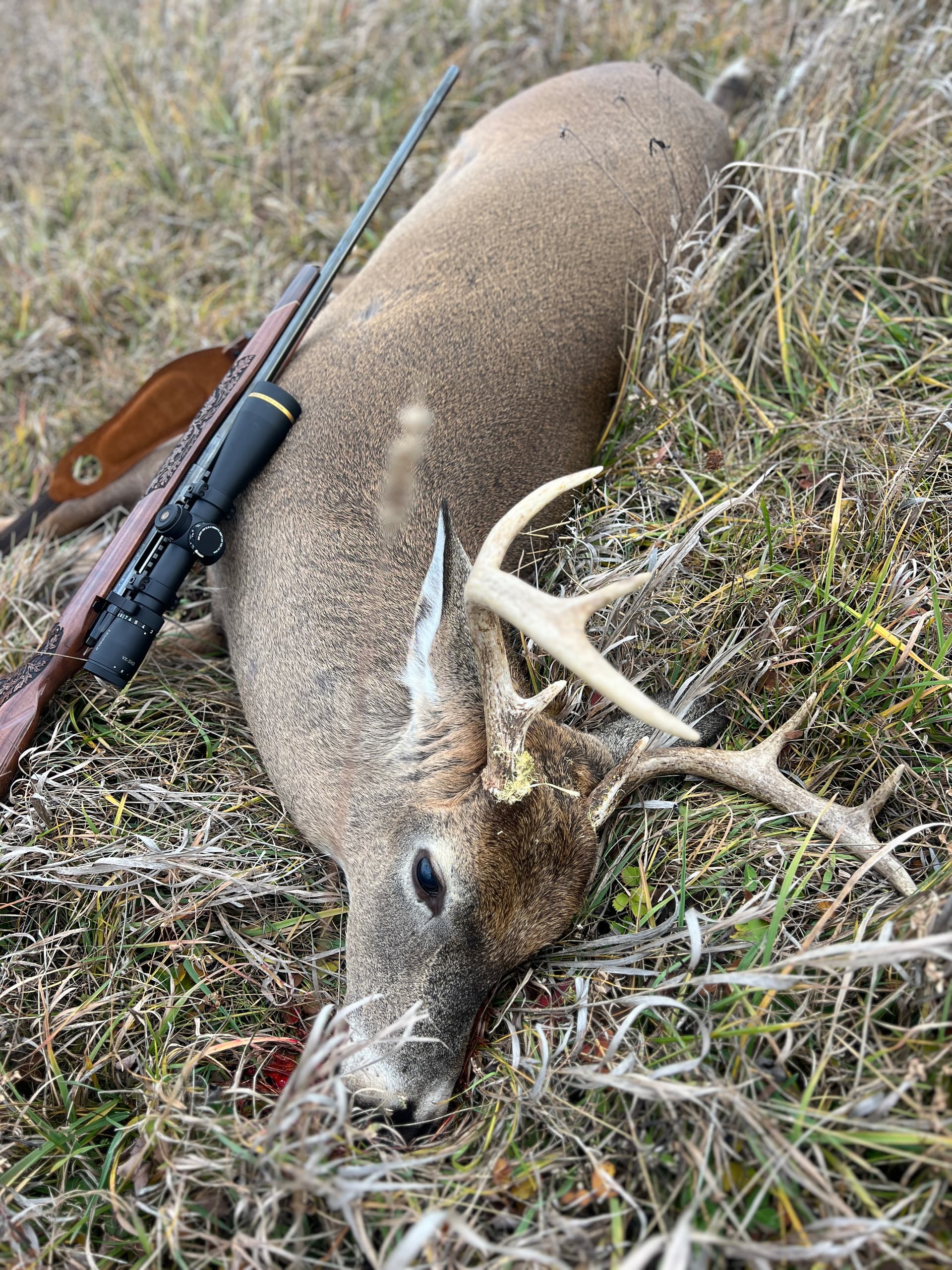 Who’s out Deer Hunting? Let’s see some pics! - The Den