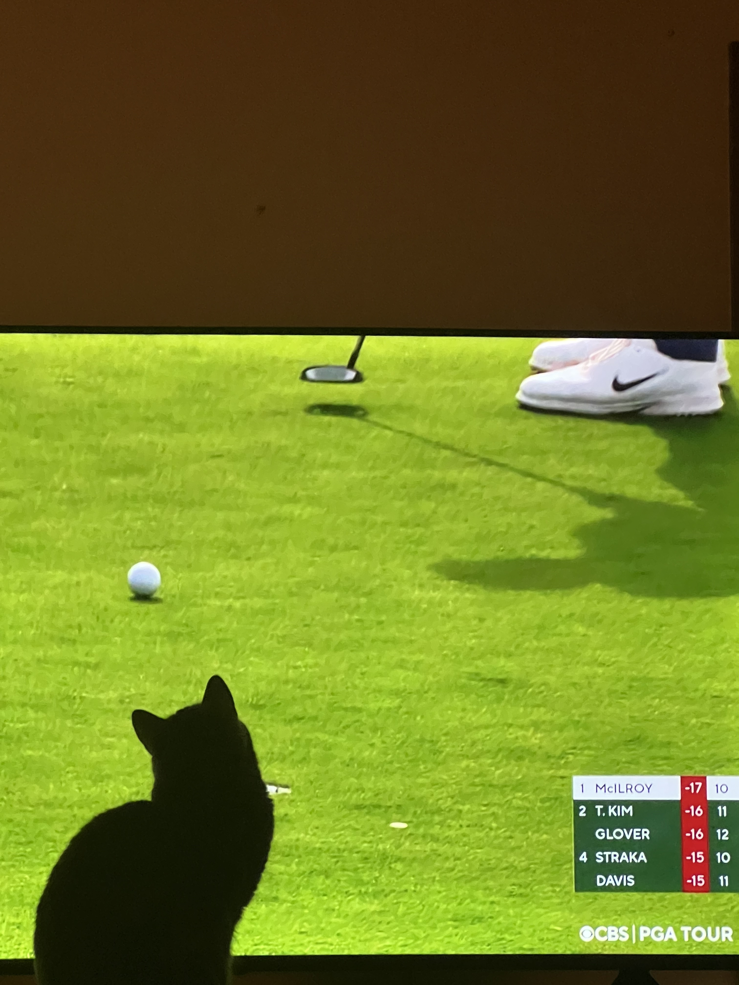 Watching PGA golf with my cat - The Den